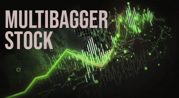 Multibagger Stock: 2 महीने में पैसा डबल! इस स्मॉलकैप शेयर में हो रही ...