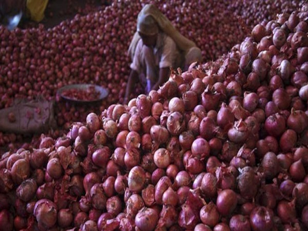 Onion Prices Soften On Govt's Stock Limits And Import Decision - Goodreturns
