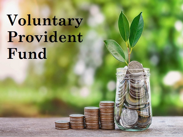 Choose Voluntary Provident Fund (VPF) For A Good Tax Saving Investment ...