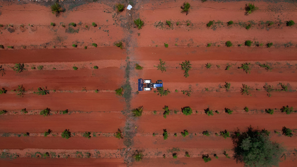 Hebbevu Farms Posts Record Revenue of Rs 30 Cr: Focus On Sustainable ...