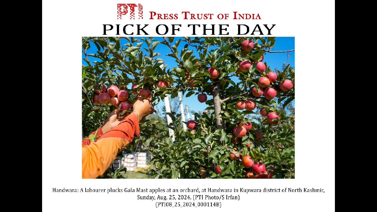 Kevan Parekh Named Apple's New CFO, Strengthens Indian-Origin Presence ...