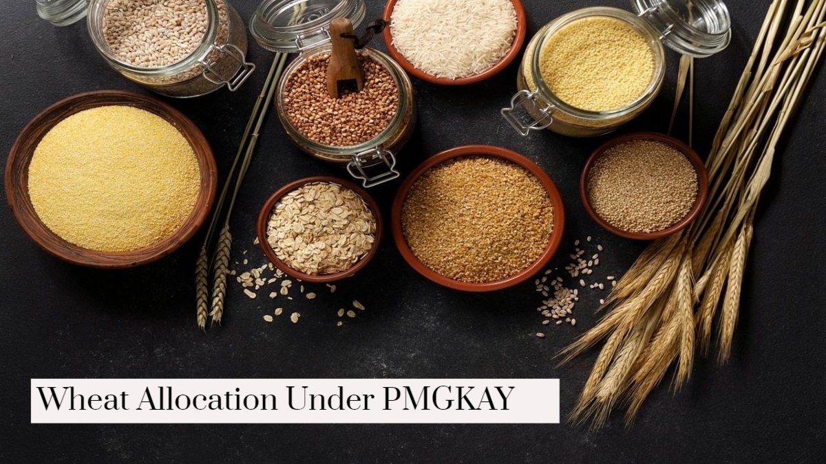 Govt To Hike Wheat Allocation Under PMGKAY Starting From October - Goodreturns