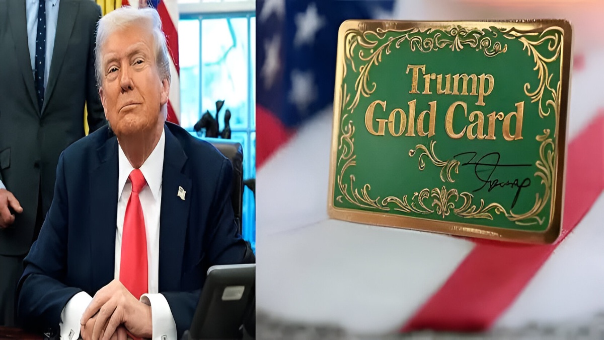 What Is Gold Card Visa? How It Differs From The Green Card & Who Will ...