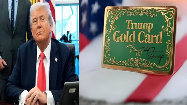 What Is Gold Card Visa? How It Differs From The Green Card & Who Will ...