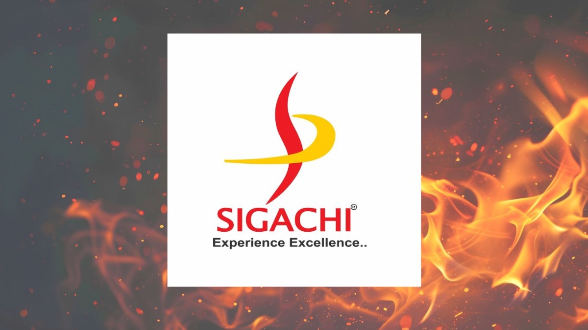 Sigachi Industries Shares Crash 15% Instantly After Telangana Blast; 12 ...