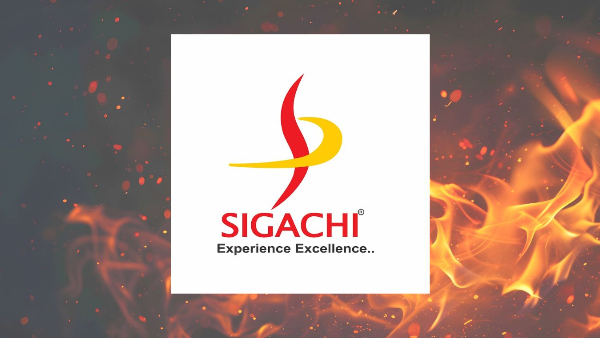 Sigachi Industries Shares Crash 15% Instantly After Telangana Blast; 12 ...