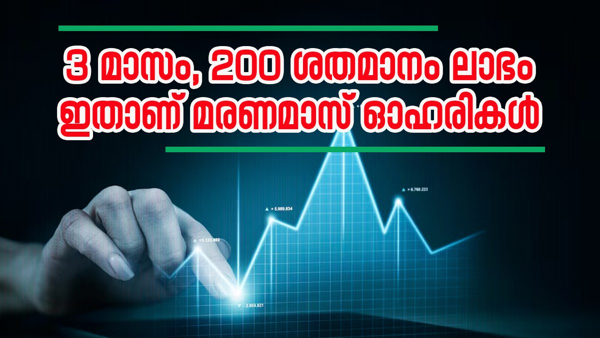 5 Stocks Including Safa Systems and Technologies That Gave Returns Of Almost 200 Percent In 2025 ...