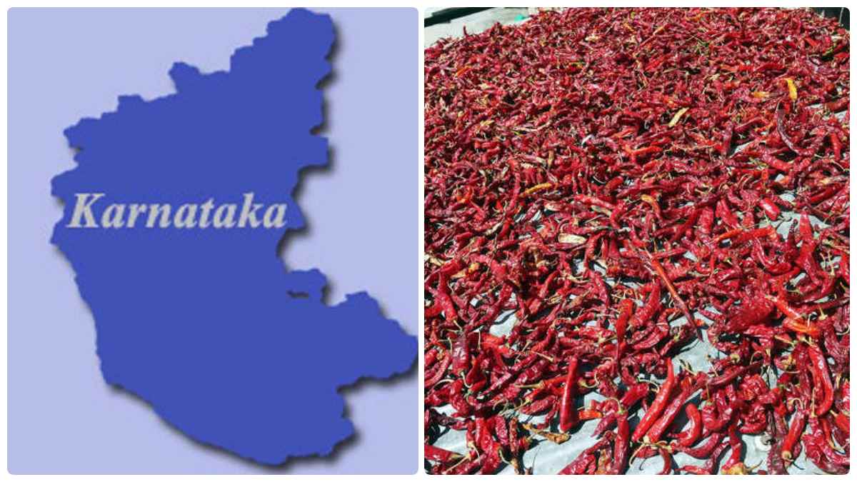 கர்நாடாகா-விற்கு வந்த குஜராத் 'புஷ்பா'.. அடுத்த பிரச்சனை..! | After ...