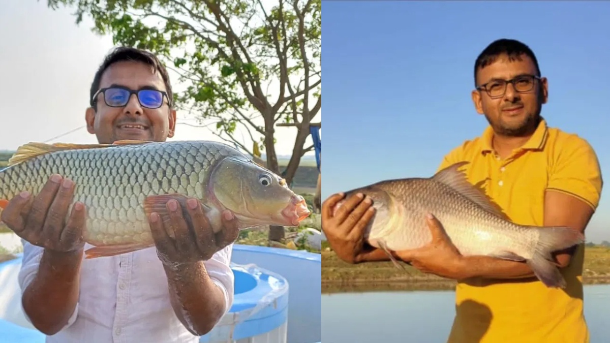 அரசு வேலையை விடுத்து மீன் வளர்ப்பில் கோடிகளை அள்ளும் இளைஞன் ...