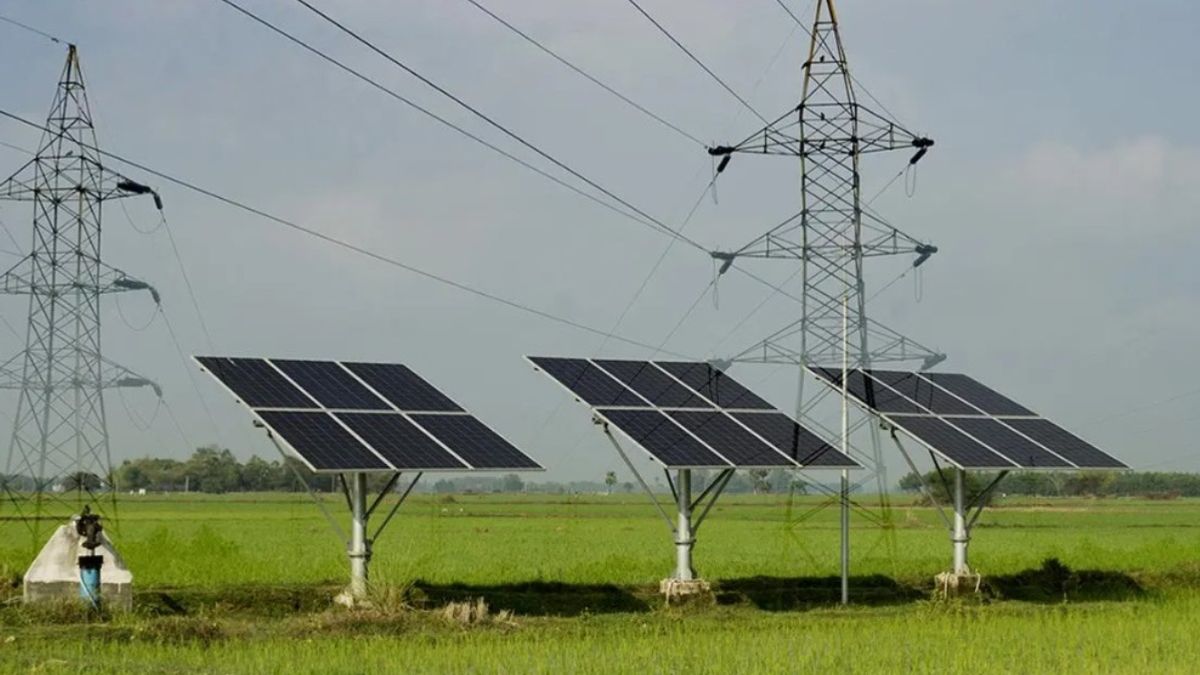 கனரா வங்கியுடன் ஒப்பந்தம்.. அதிரடியாக உயரும் பென்னி ஸ்டார்க்..! | Rs 10 Crore Canara Bank OTS ...