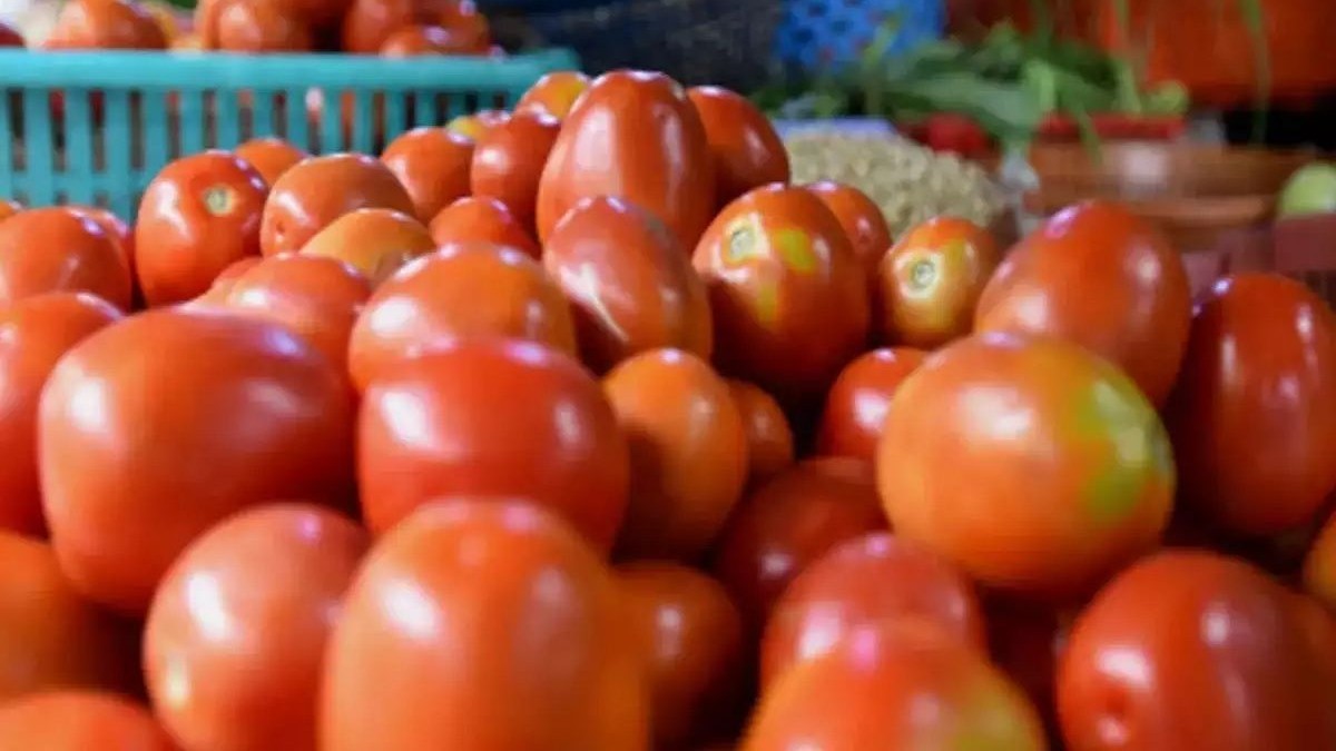 Tomato Price: రండి బాబు రండి.. కిలో టమాటా రూ.7 మాత్రమే..!! | Tomato ...
